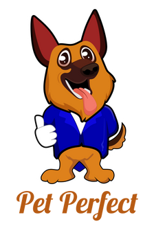 Pet Perfect - Alles Voor Uw Hond!
